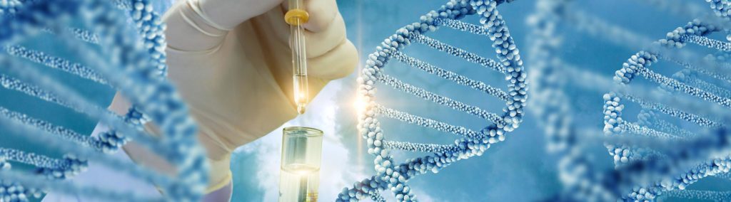 EZZ PRODUCTS – EZZ